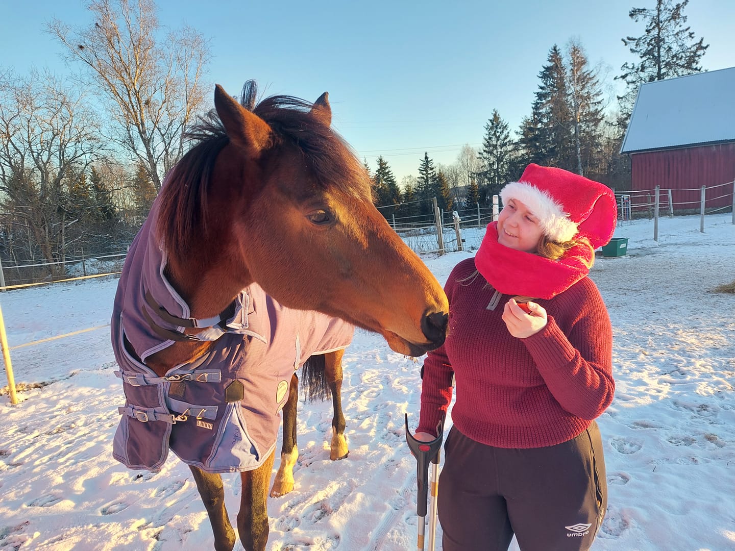 Månedens leserbilder for desember: Tid for julebilder